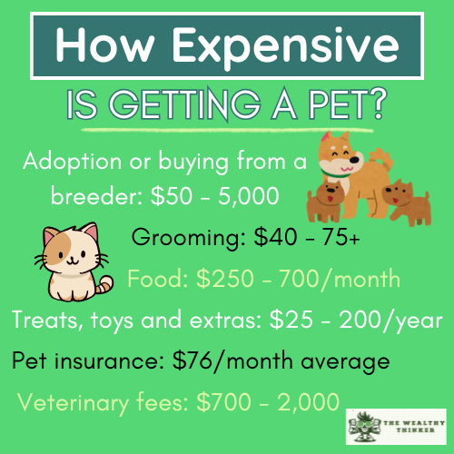 7 Pet Costs You Absolutely Should Know Before Becoming a Pet Parent ...